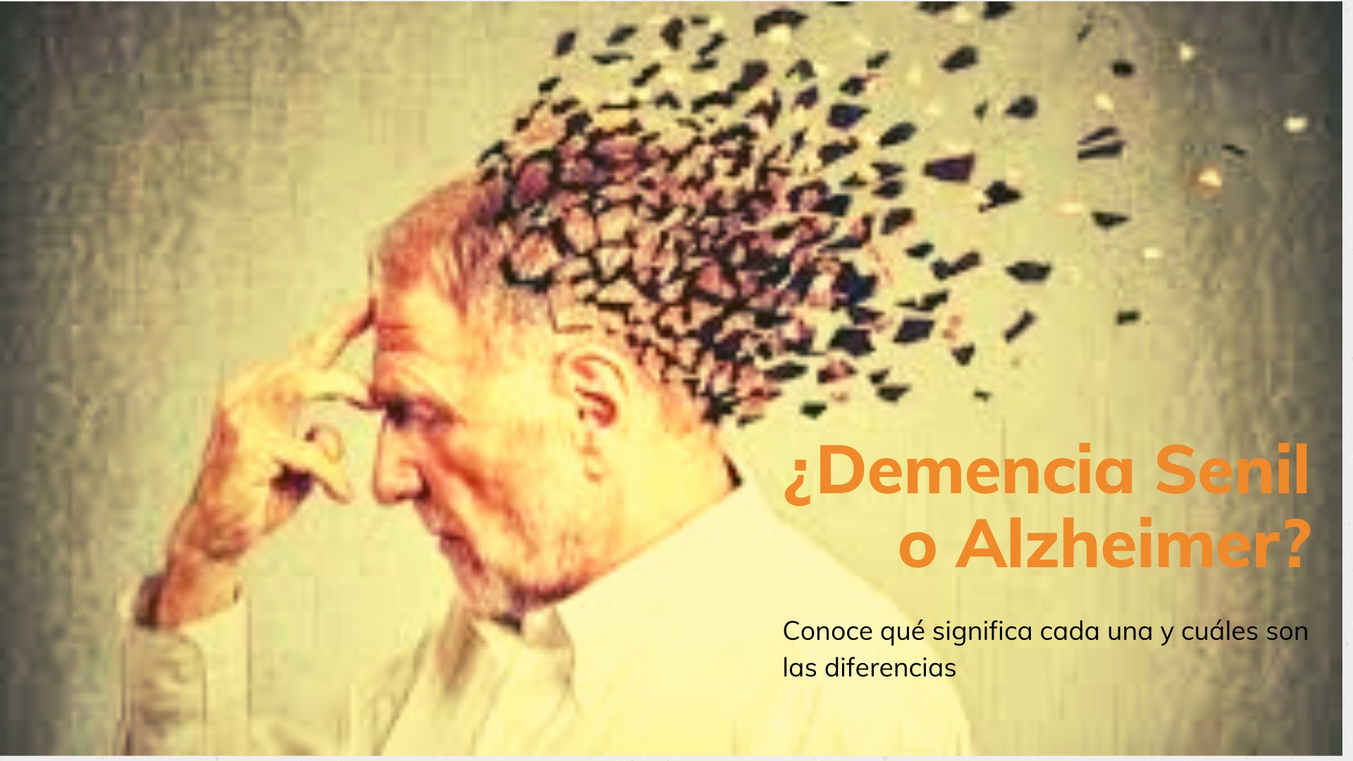 Demencia Y Alzheimer El Roble